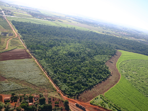 Fundação José Pedro de Oliveira Mata Santa Genebra